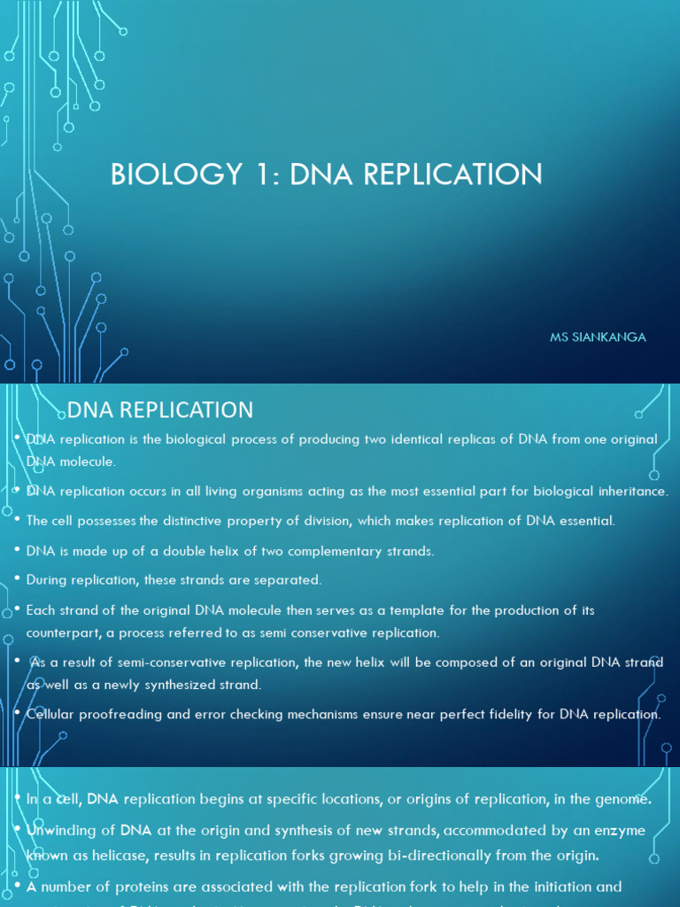 Biology 1 - Dna Replication | PDF | Dna Replication | Dna