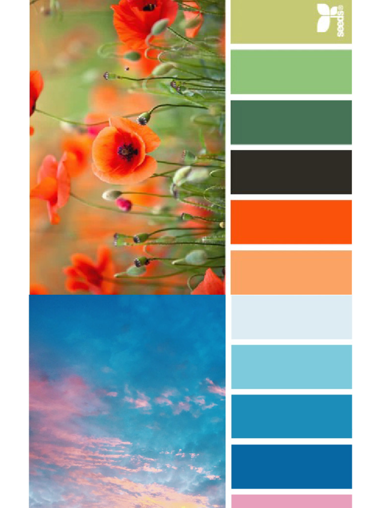 Paleta Colores1 | PDF