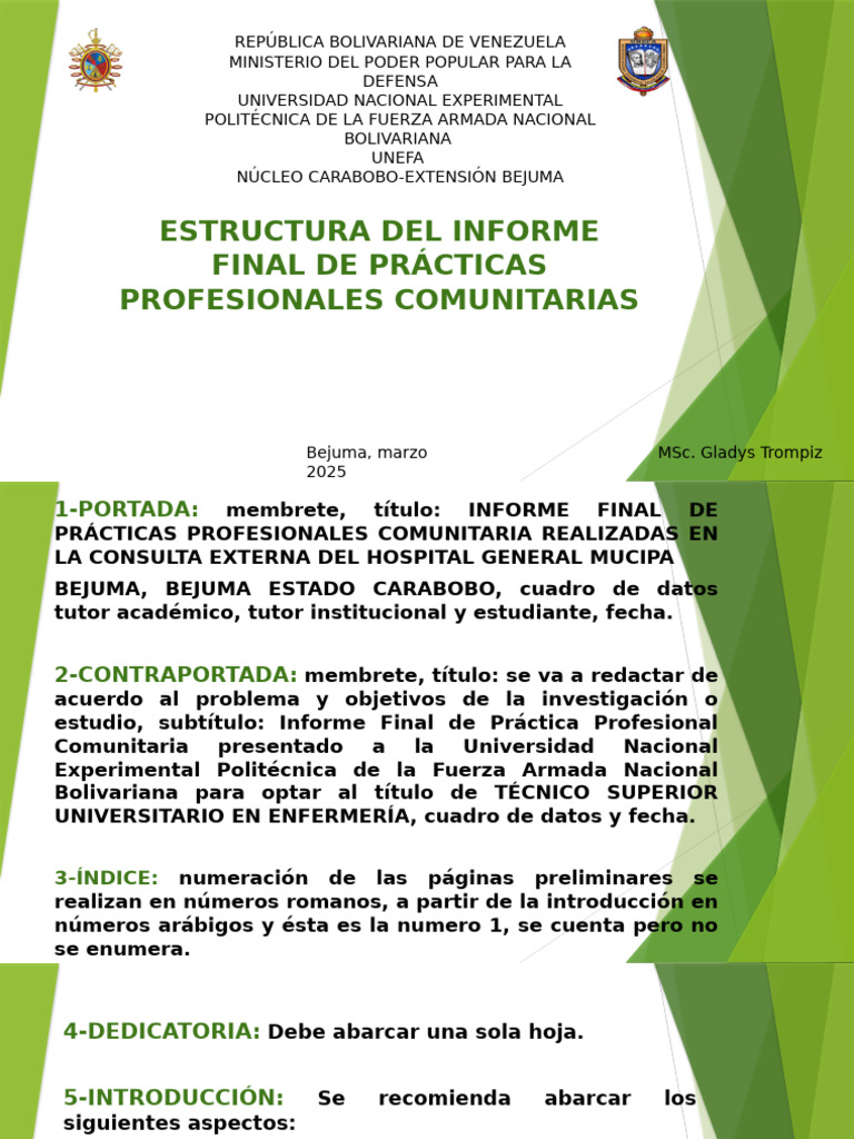 Esquema Informe Final de Prácticas Profesionales Comunitarias Unefa | PDF