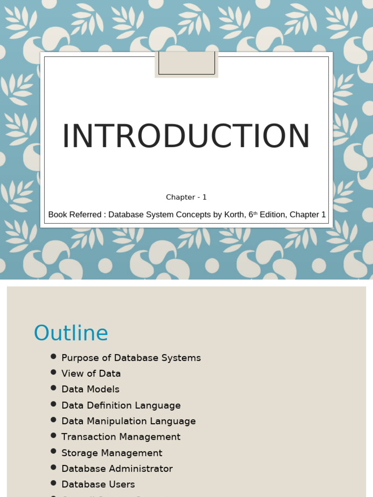 Chapter 1 - Introduction | PDF | Conceptual Model | Databases