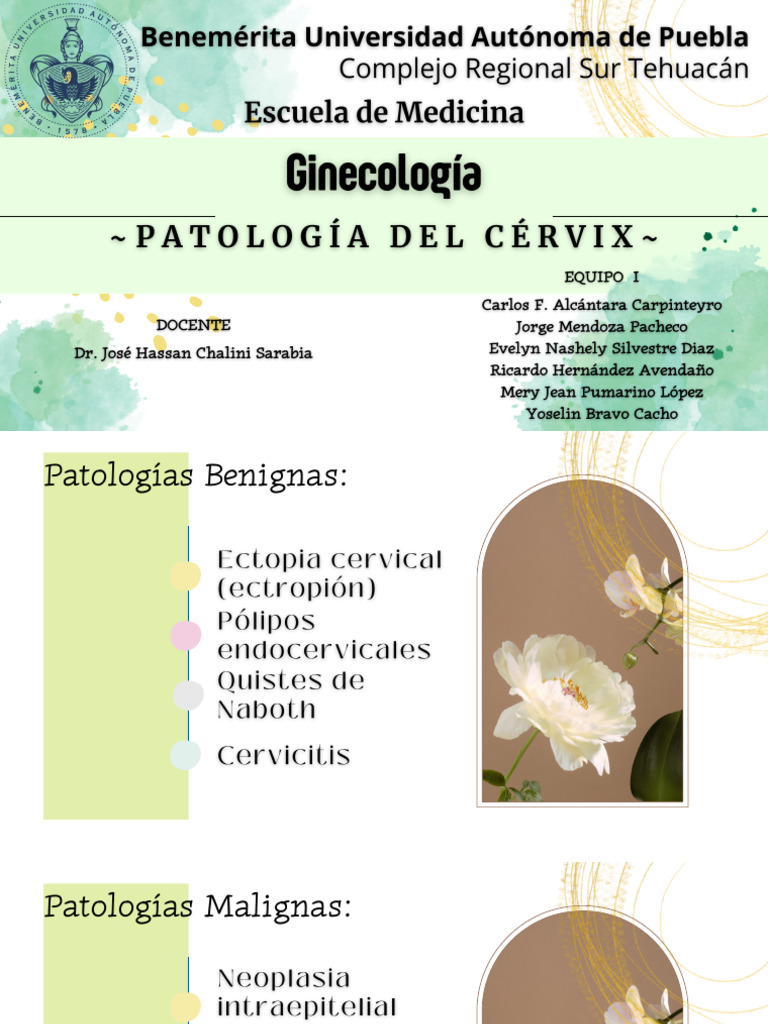 Patologías Cervicales: Diagnóstico y Tratamiento | PDF | Cáncer de ...