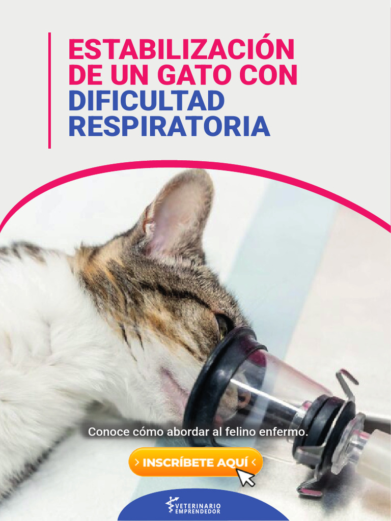 Docu | PDF | Dieta | Anemia