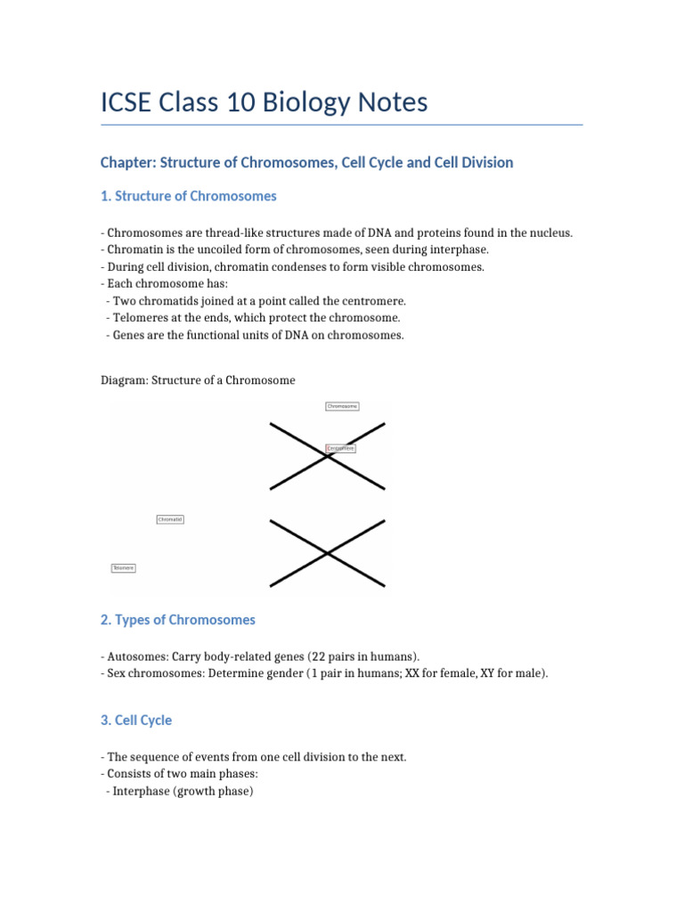 Chromosomes and Cell Division ICSE Notes | PDF