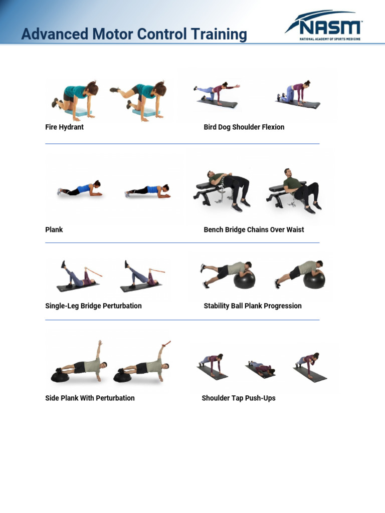 NASM PES Handout Core Training Advanced Motor Control | PDF