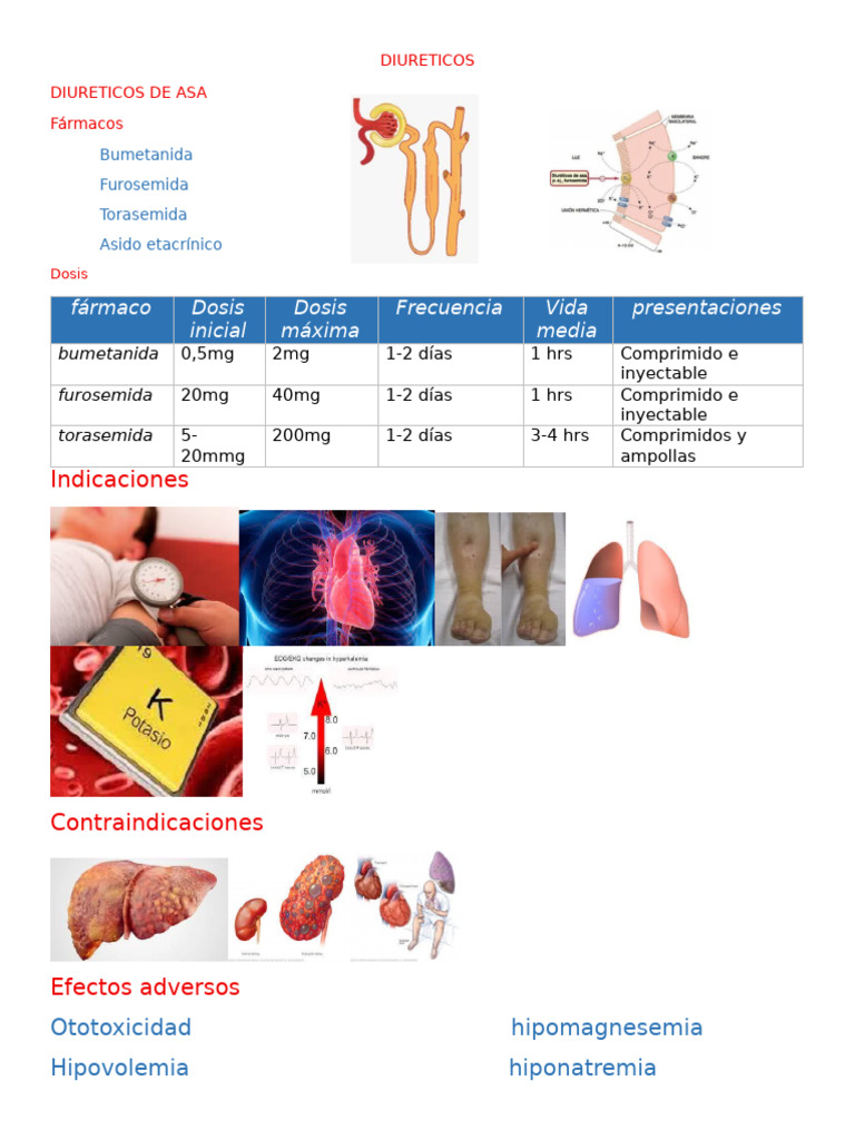 Comparativa de Diuréticos de Asa | PDF