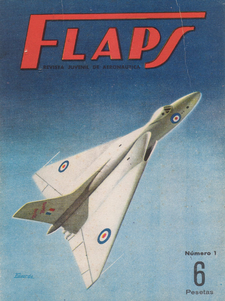 Flaps 001 | PDF