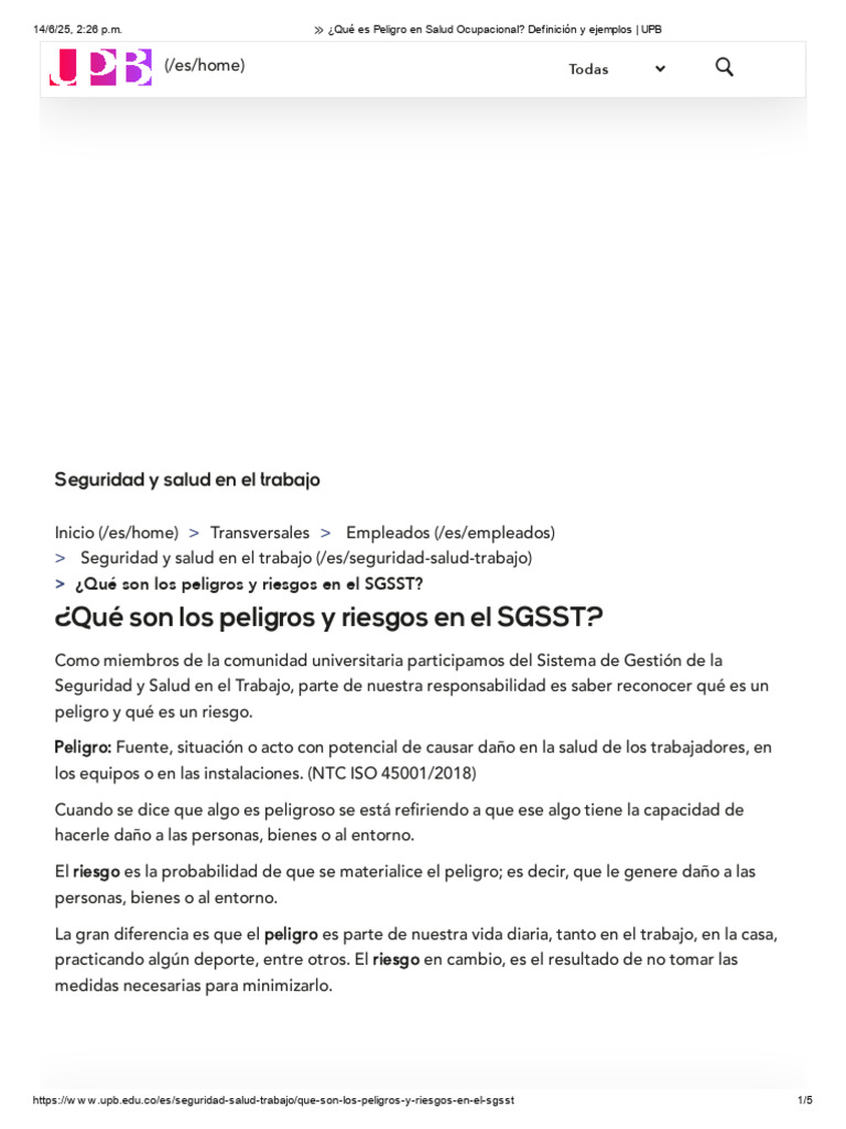 Definición de Peligro en Salud Ocupacional | PDF | Riesgo | Seguridad y ...