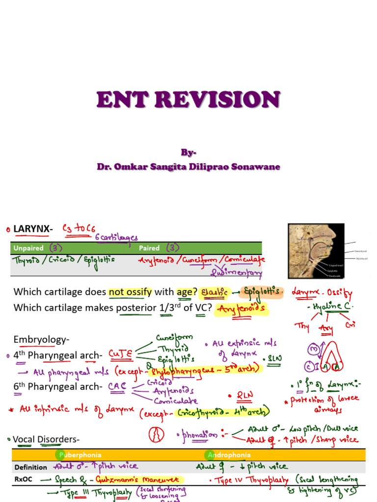 Ent Revision - 250521 - 214134 | PDF | Larynx | Otorhinolaryngology