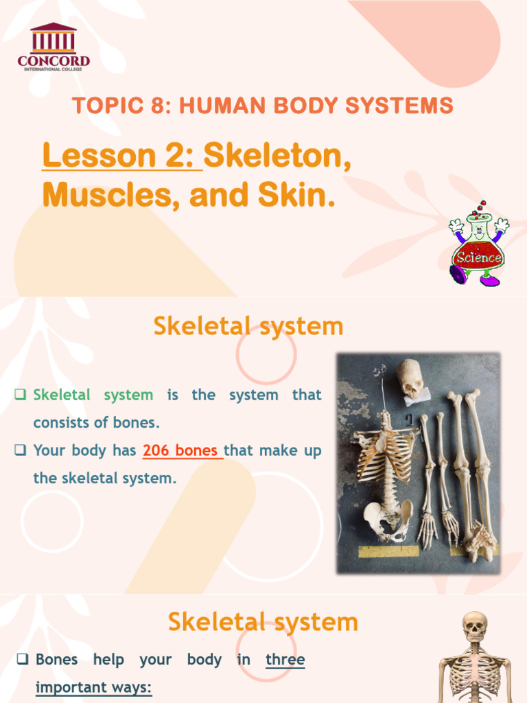 1G4 T3 Skeleton, Muscles and Skinn | PDF