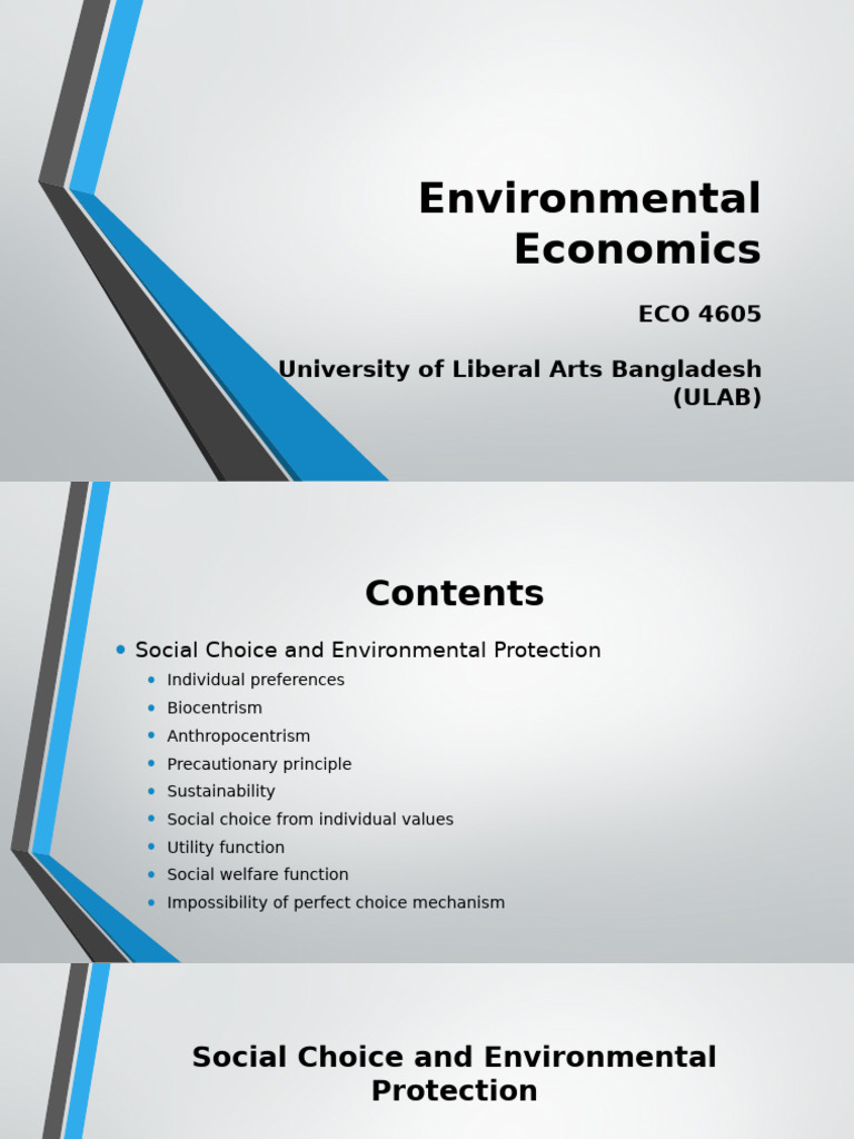 Environmental Economics 9 | PDF | Utility | Economies