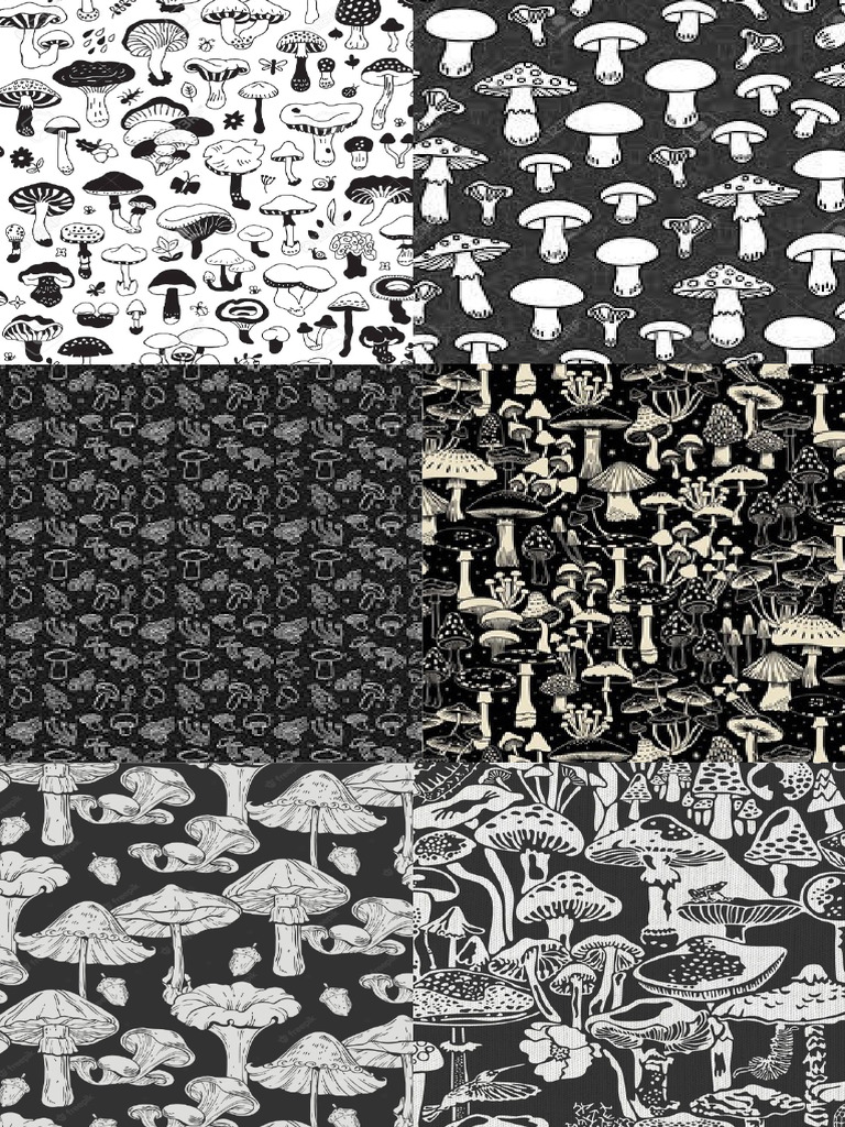 Setas 20250614 171752 0000 | PDF