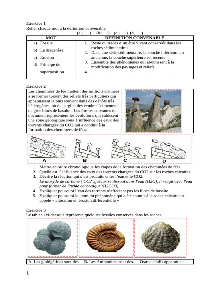 Fossiles et stratigraphie sédimentaire | PDF | Fossile | Roche sédimentaire
