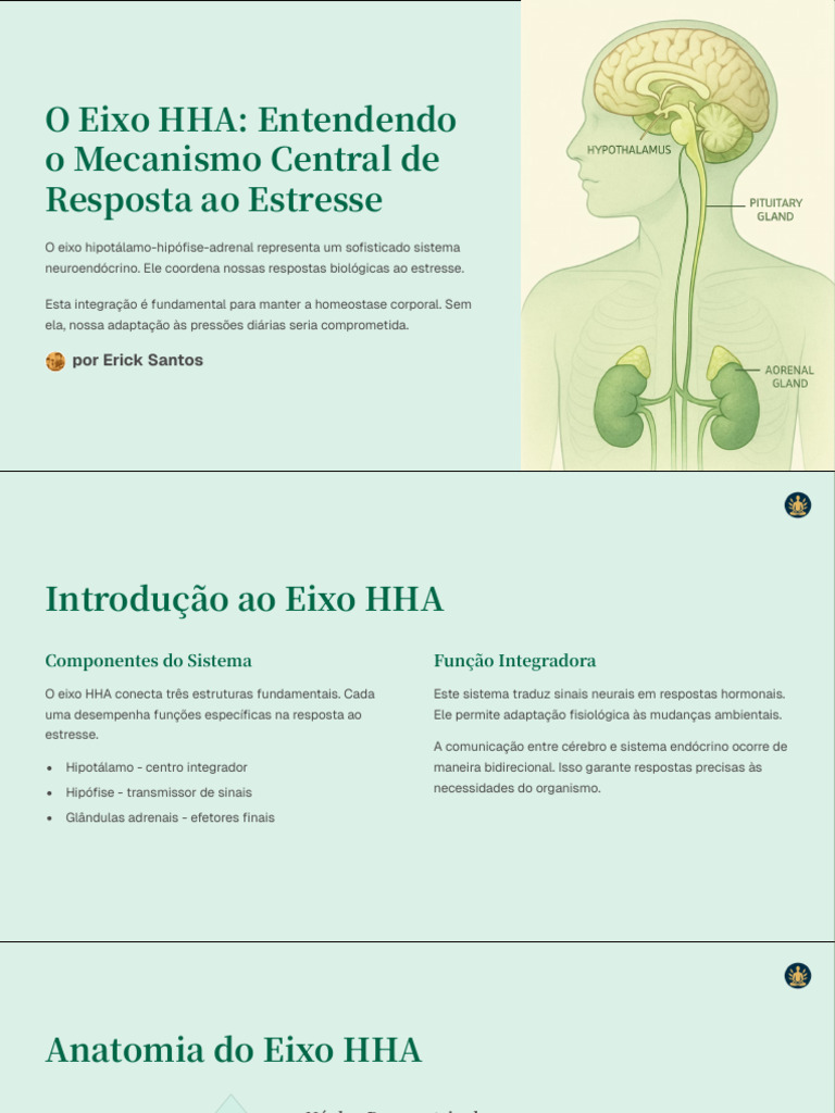 O Eixo HHA Entendendo o Mecanismo Central de Resposta Ao Estresse | PDF | Cortisol | Glândula ...