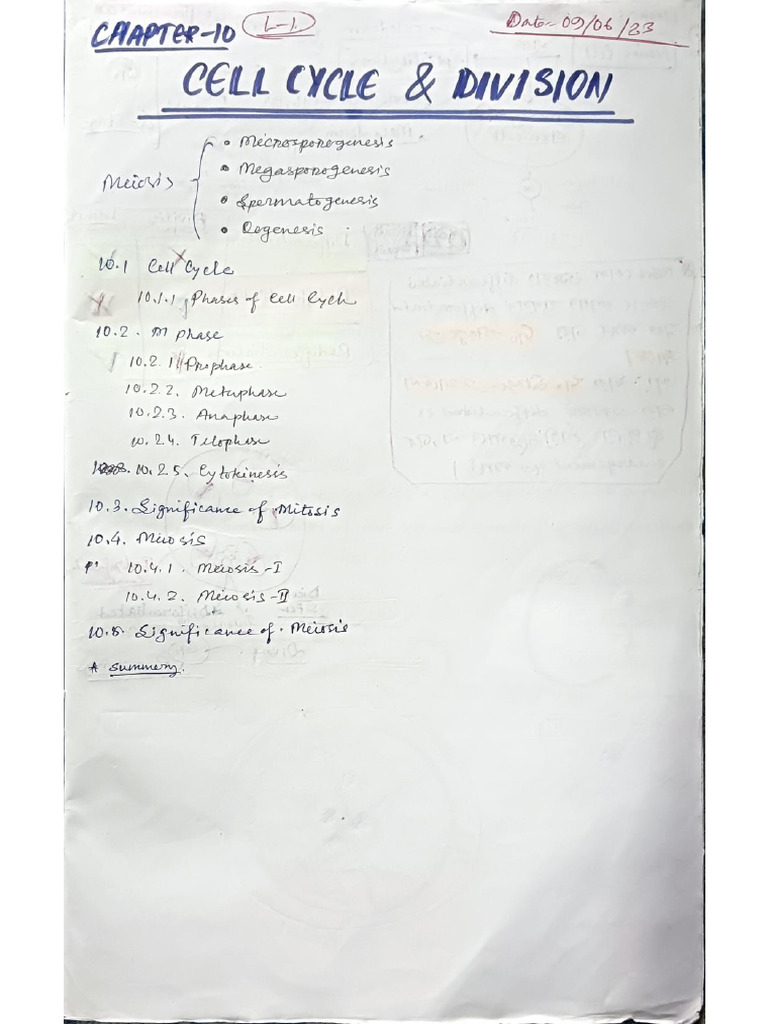 Cell Cycle & Division - Biology-XI-By Akash Ghosh | PDF