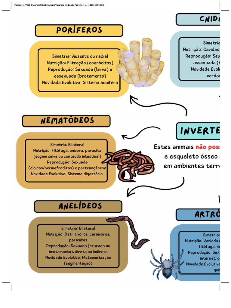 Posteriza v1.1: Criando Posters Grátis | PDF