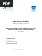 Creación de Historias Sociales para TEA | PDF | Comunicación | Sicología