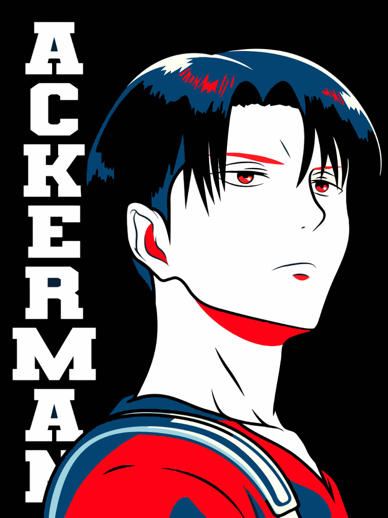 Ackerman | PDF