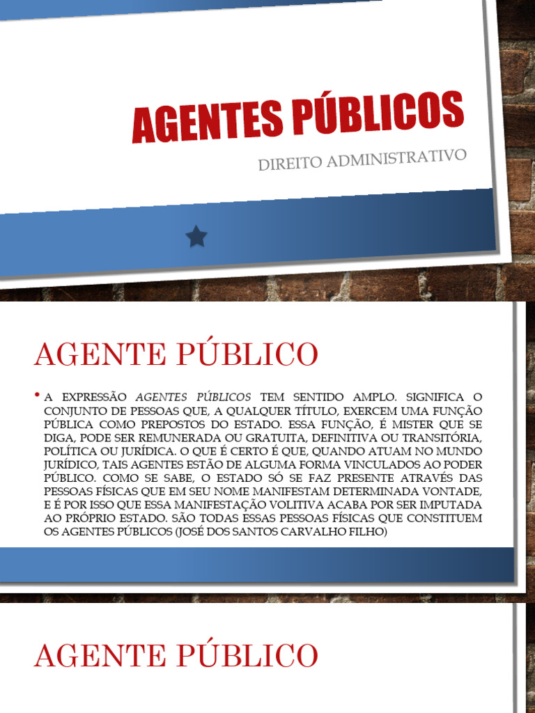 Agentes Públicos e Direito Administrativo | PDF | Acessibilidade ...