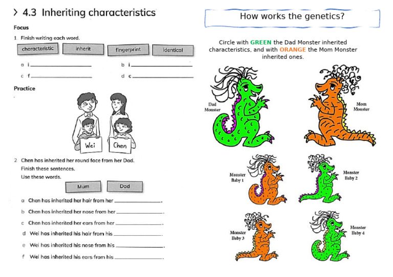 Inherited Characteristics 2° | PDF
