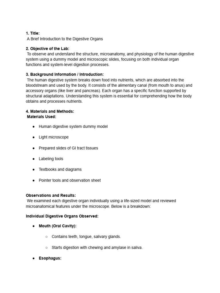 Digestive System Anatomy Lab Overview | PDF | Small Intestine ...