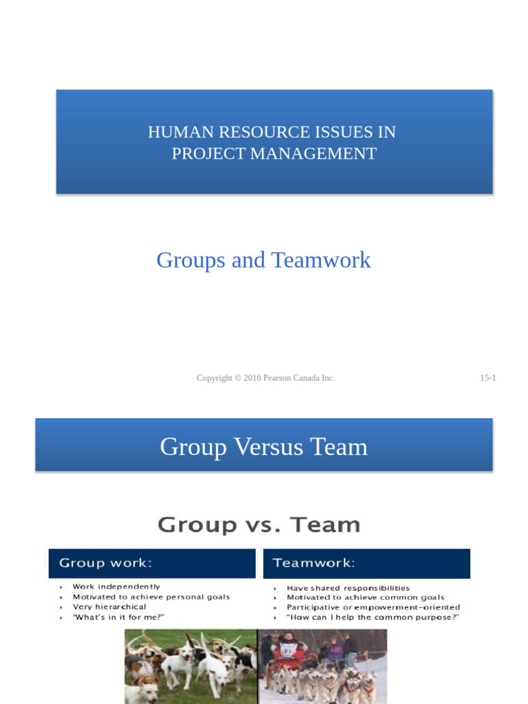 Human Resource Aspects of Project Management-1 | PDF | Power (Social ...