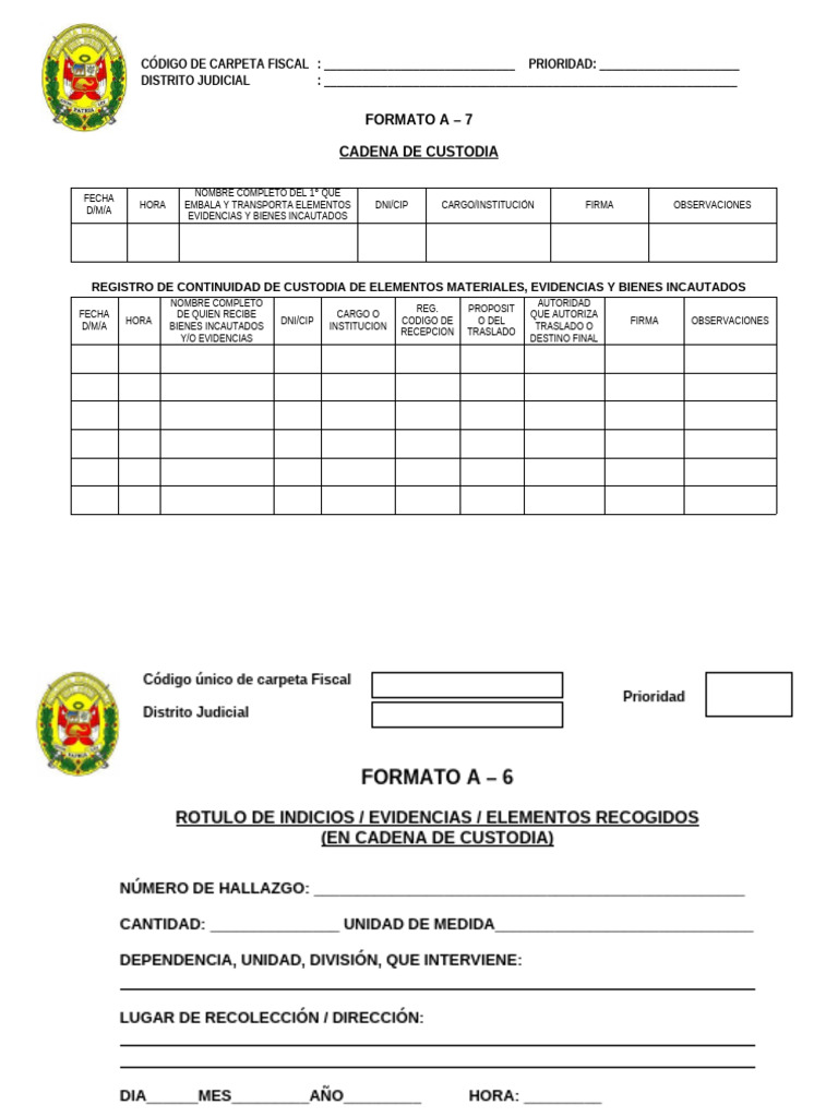 Cadena de Custodia y Rotulo Okok | PDF | Evidencia | Ley común
