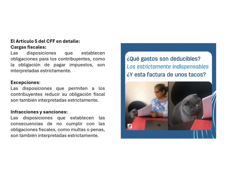 Art 5 CFF 25 | PDF
