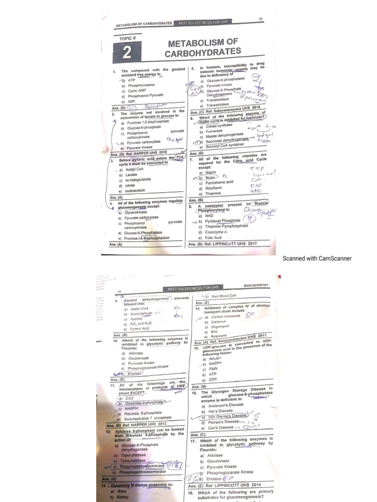 Carbohydrate 2 Biochemistry 2nd Year Mbbs | PDF