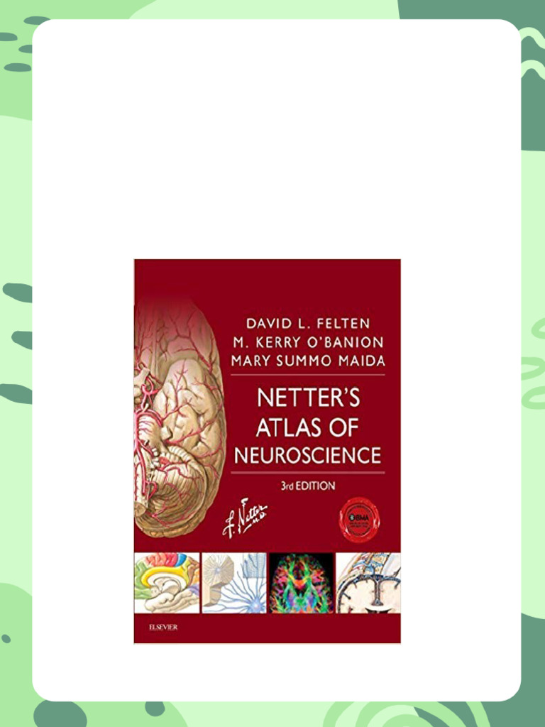 (Ebook PDF) Netter's Atlas of Neuroscience Ebook (Netter Basic Science) 3rd Edition Download ...