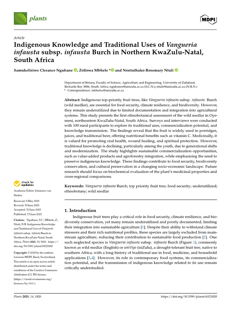 Indigenous Knowledge and Traditional Uses of Vangueria Infausta Subsp ...