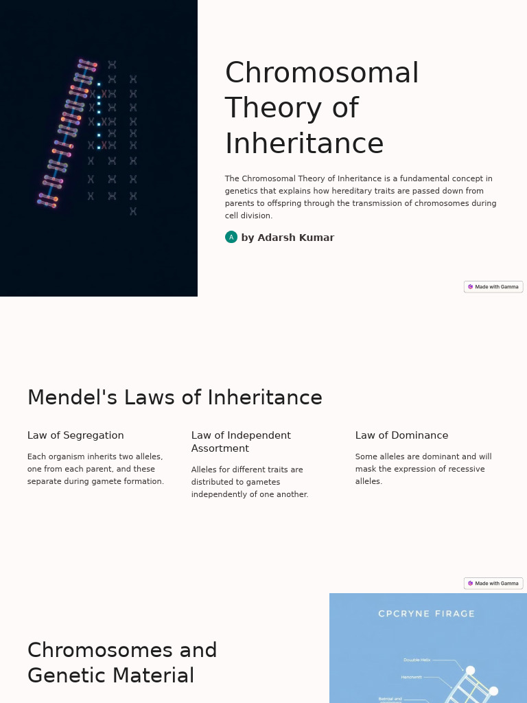 Chromosomal Theory of Inheritance | PDF | Genetics | Chromosome