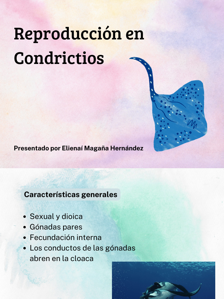 Reproducción en Condrictios | PDF