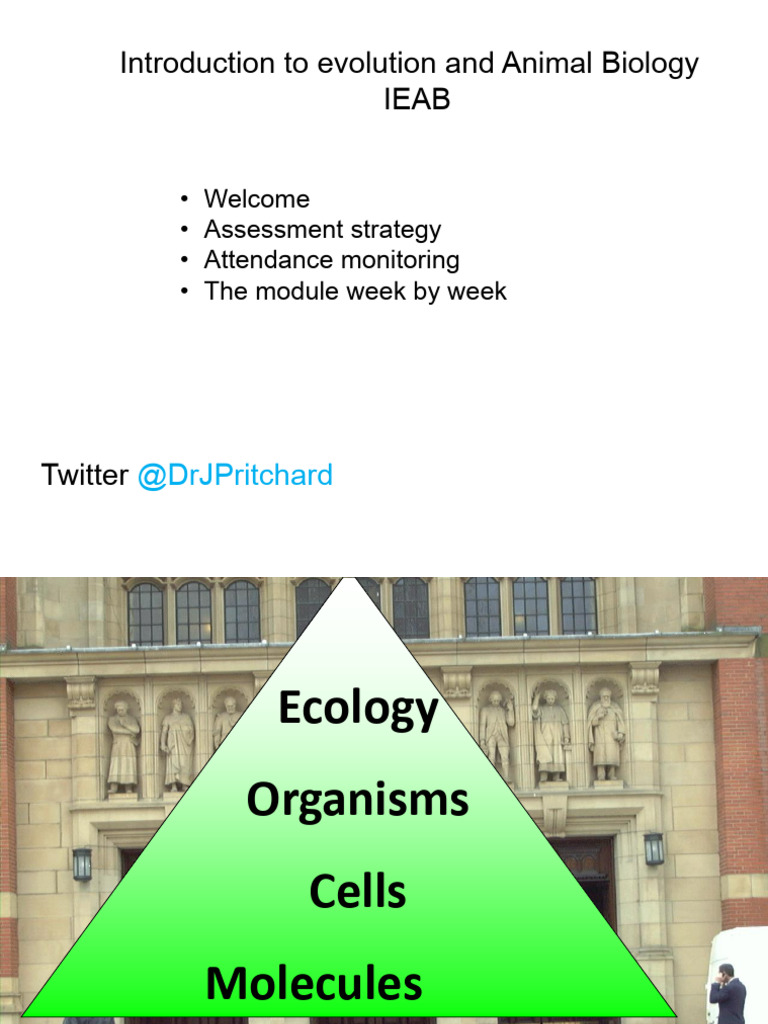 Introduction To Evolution and Animal Biology Ieab: @drjpritchard | PDF ...