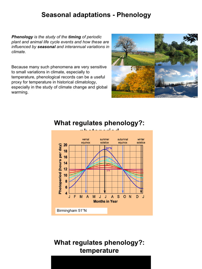 Adaptation+to+Seasonal+Change+ +phenology | PDF
