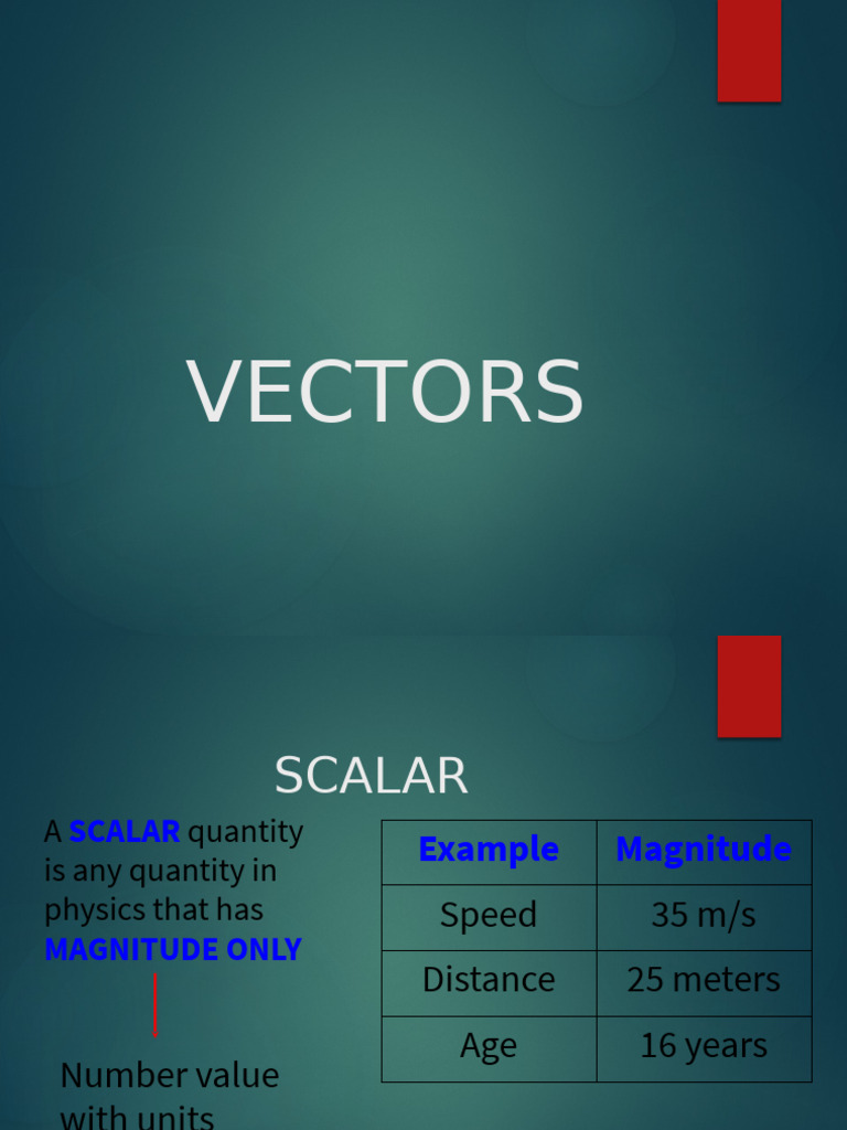 Chapter 2 Vectors | PDF | Euclidean Vector | Trigonometric Functions