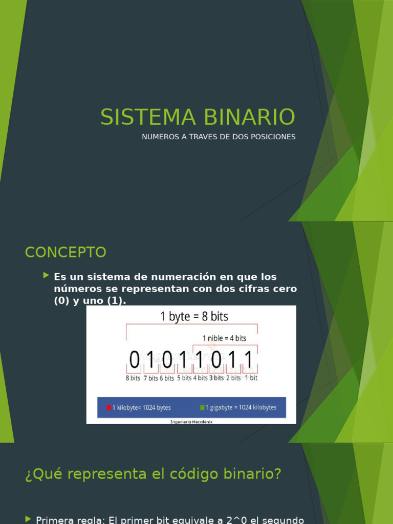 Sistema Binario | PDF