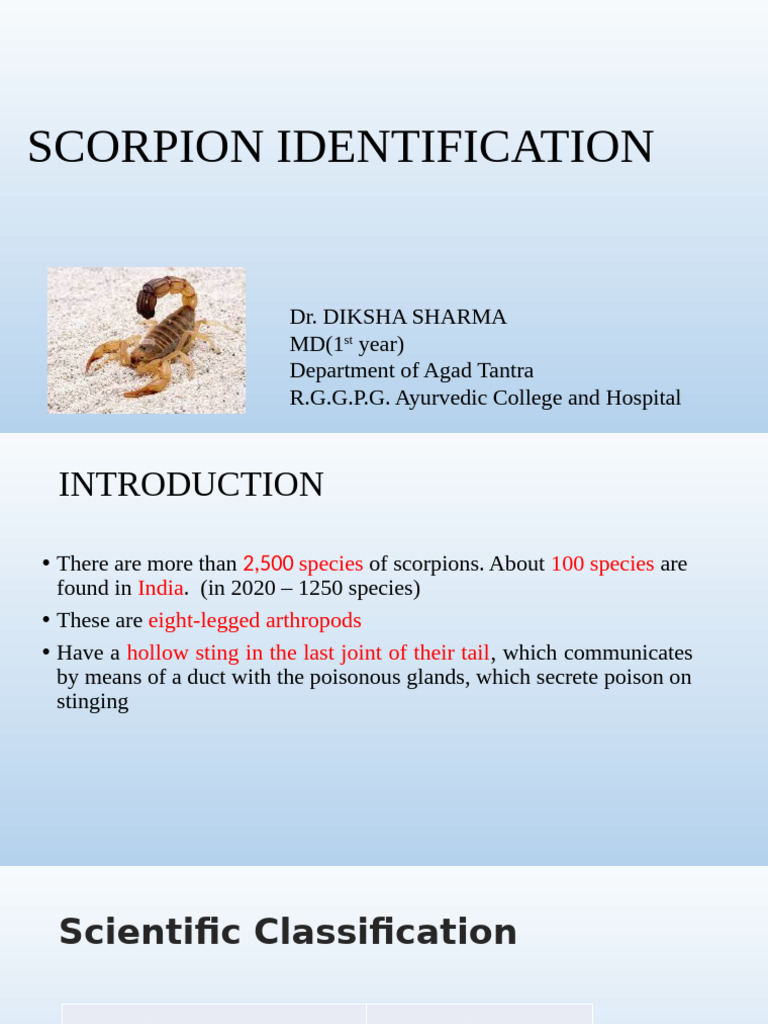 Scorpion Identification and Treatment Guide | PDF | Predation