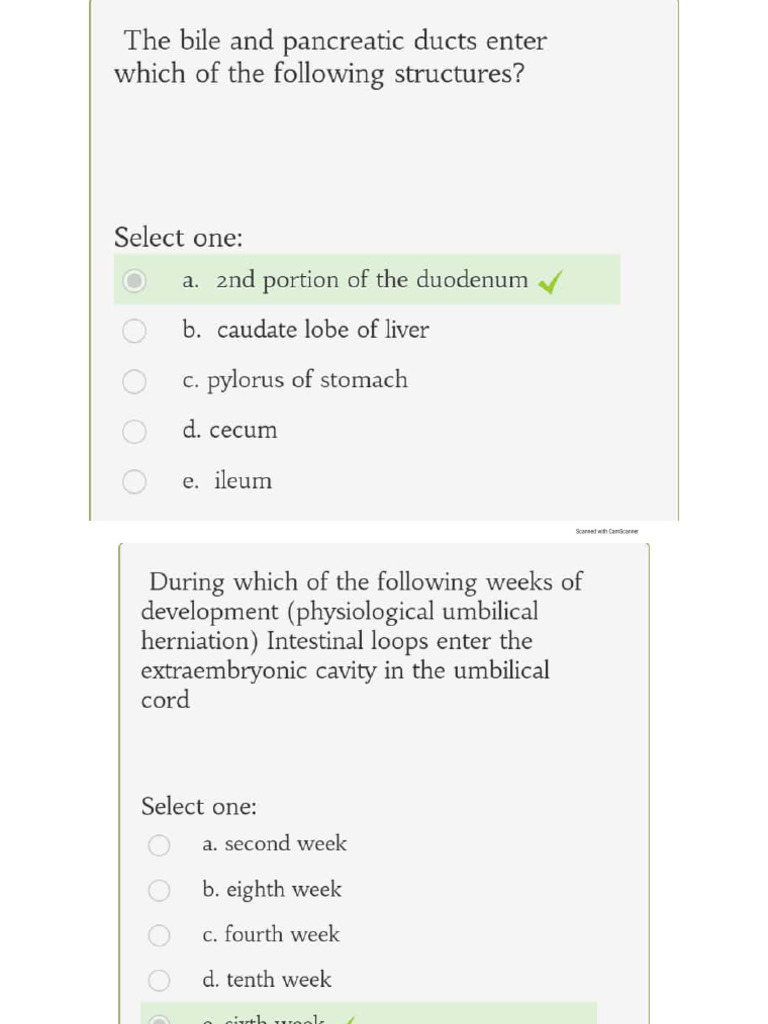 Anatomy Git | PDF