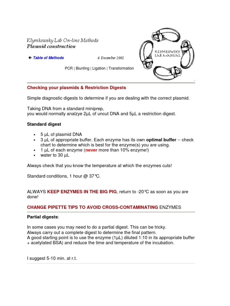 Plasmid Construction: Klymkowsky Lab On-Line Methods | PDF | Agarose ...