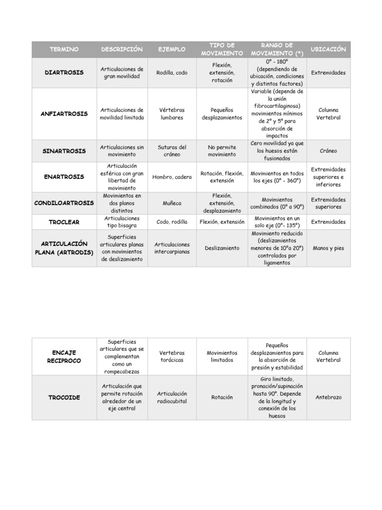 Articulaciones Cuadro 1 | PDF | Articulación | La columna vertebral