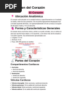 Función y Ubicación del Plexo Cardíaco | PDF