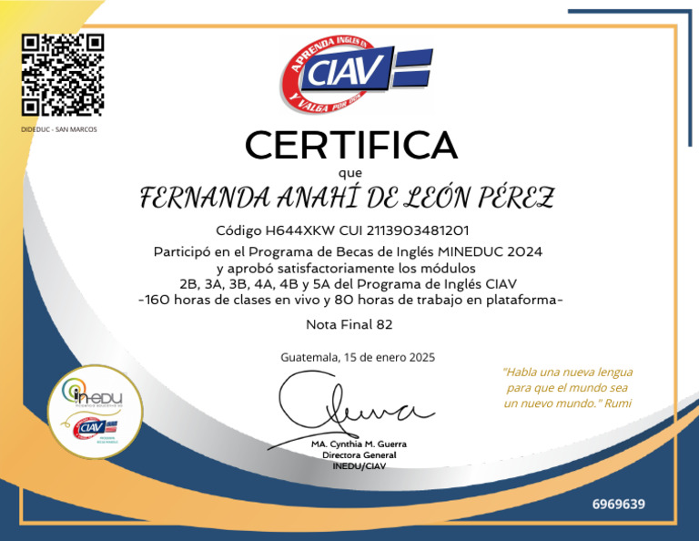 CIAV Certificate | PDF