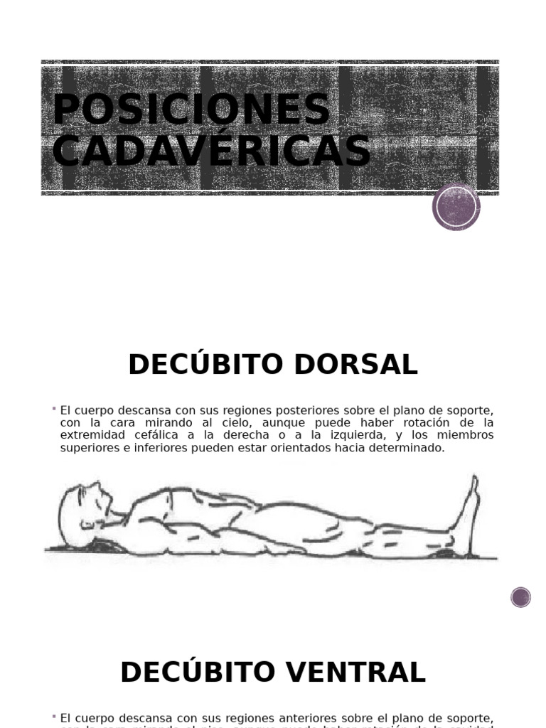 Posiciones Cadavericas | PDF | Términos anatómicos de ubicación
