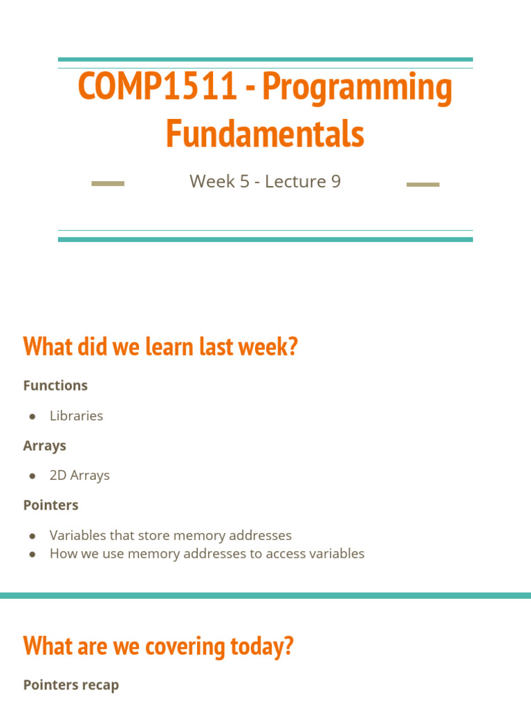 09 Debugging And Characters Pdf Pointer Computer Programming Software Bug