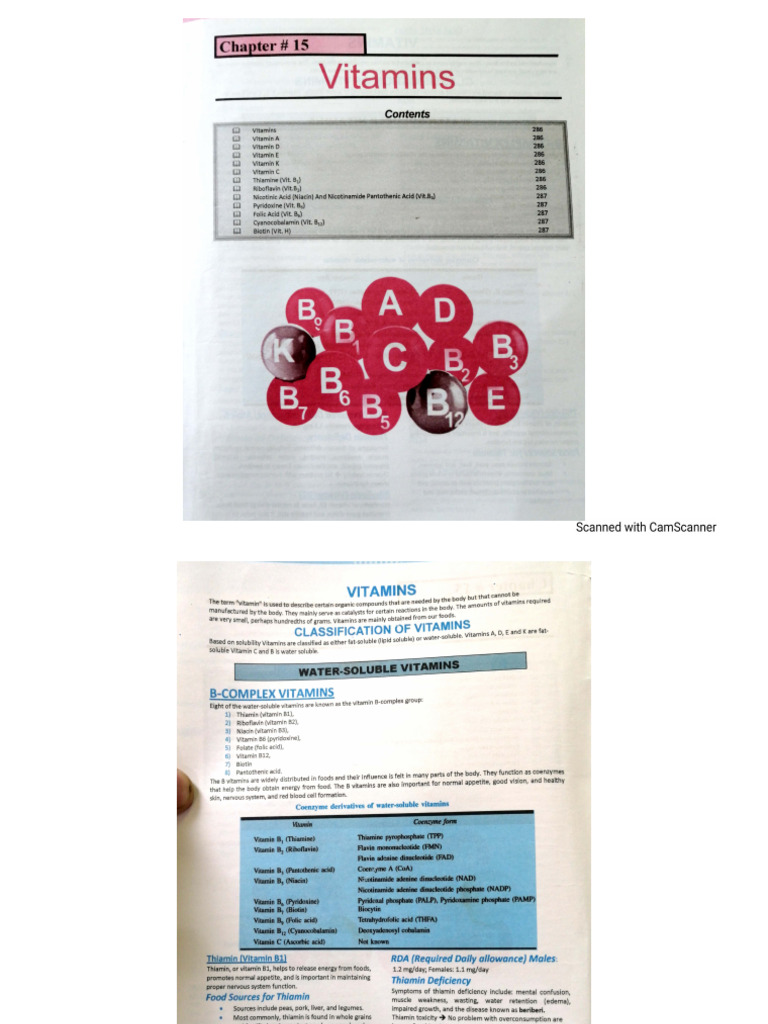 Vitamin. Notes. | PDF