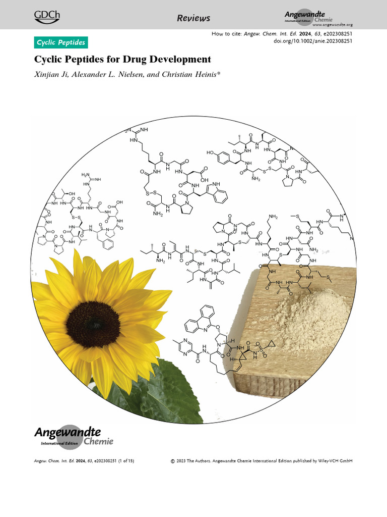 Cyclic Peptides For Drug Development | PDF | Hydrogen Bond | Protease