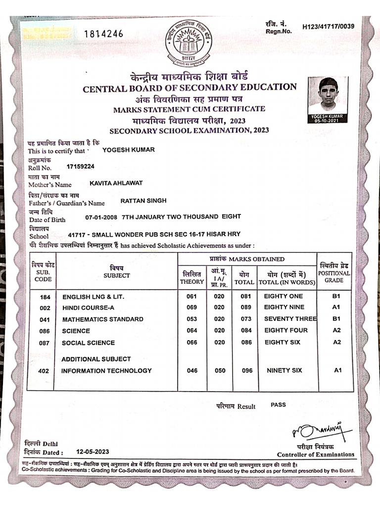 Class 10 Marksheet | PDF