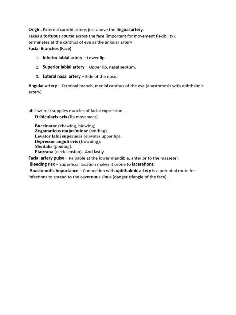 Facial Artery: Anatomy and Pulse Points | PDF
