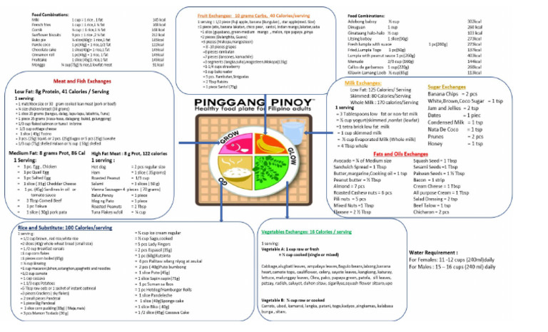 Updated Pinggang Pinoy | PDF
