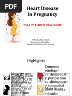 Modified World Health Organization (WHO) Classification of Maternal ...
